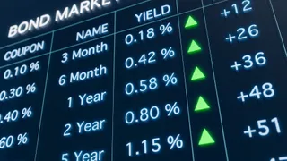 Cat bond funds return 9,9% in ’25 in nearly uninterrupted, paced gains ...